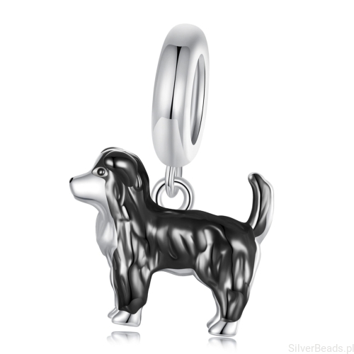 Piesek rasy Border Collie charms srebrna zawieszka beads srebro 925 ...